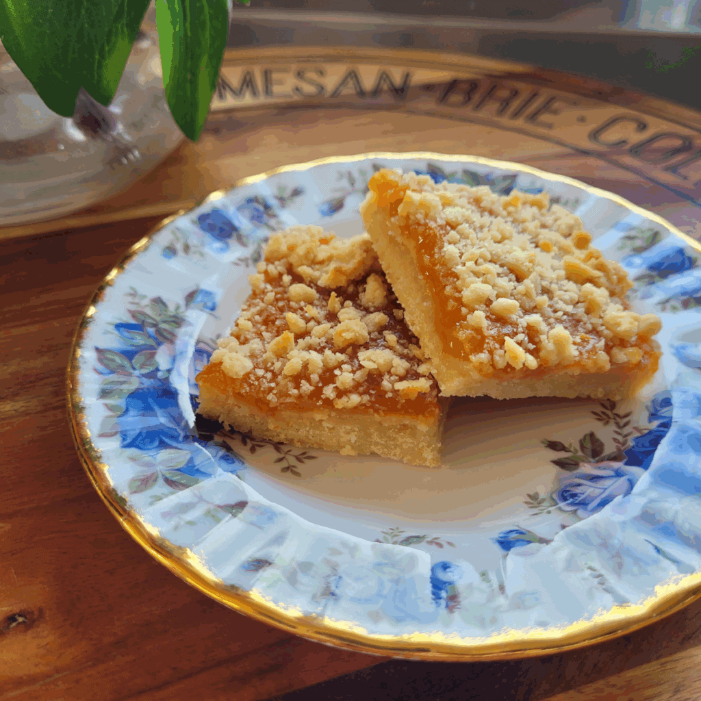Apricot Slice - Farmer's Wife Homestead